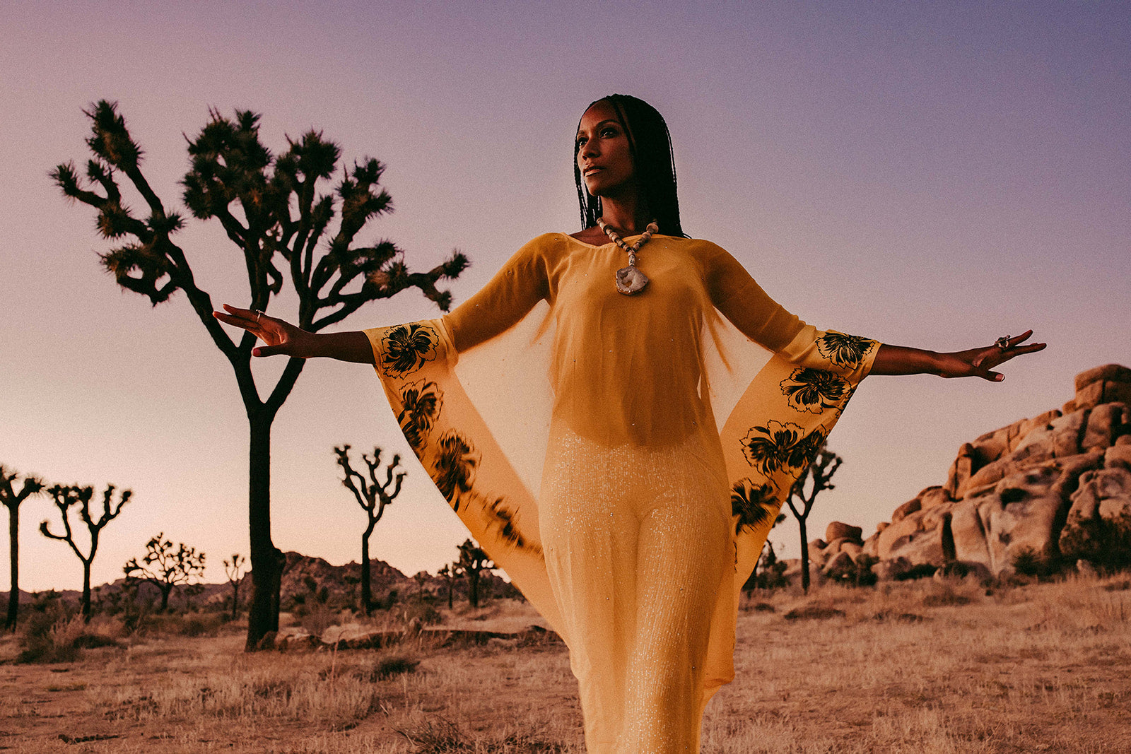 Introducing The Lore Wisdom Series - A Reclamation of Ancient Wisdom